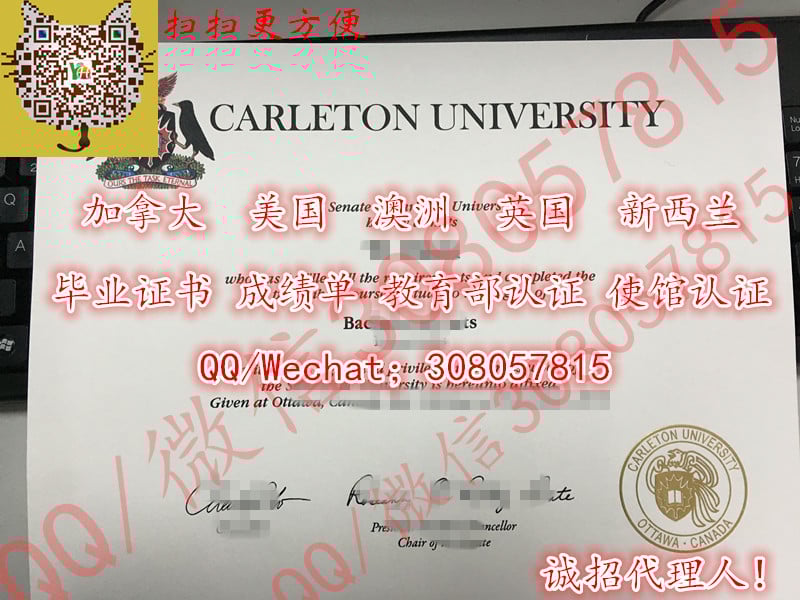 Ray Emery Drive , Māngere , Auckland 2022 , New Zealand(Q/微308057815办 ...